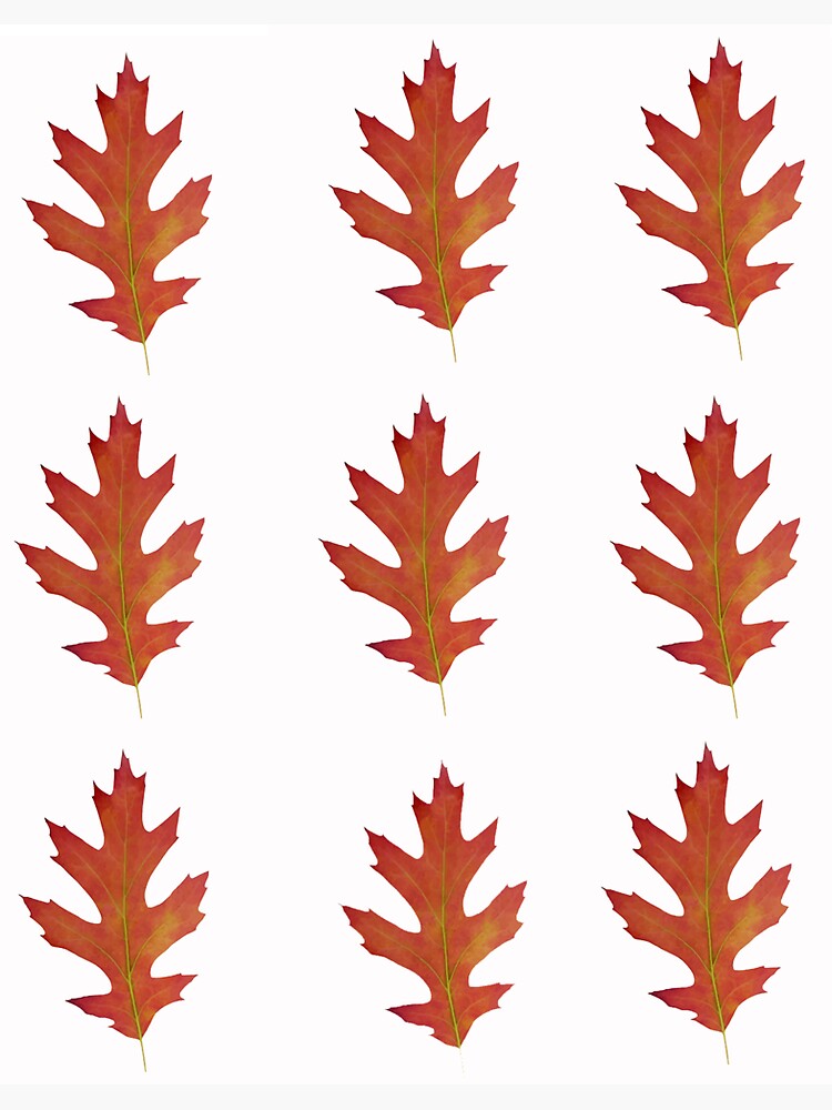 "Red oak leaf pattern" Sticker for Sale by IvanaKika17 | Redbubble
