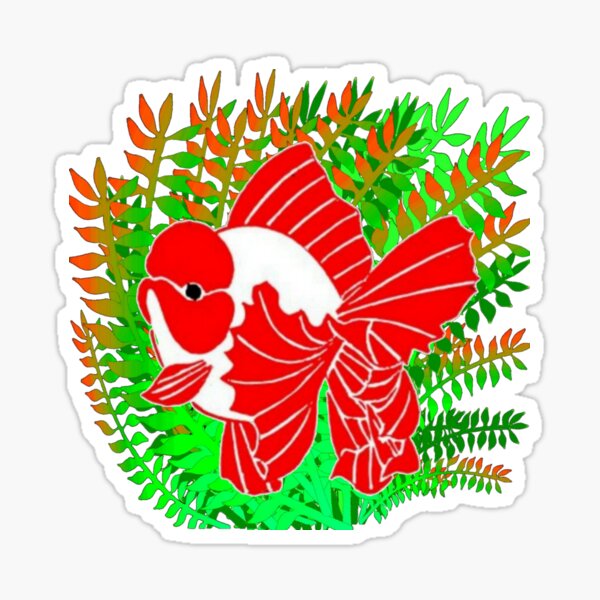 "Oranda Goldfish Logo 1125" Sticker for Sale by Nosnah | Redbubble