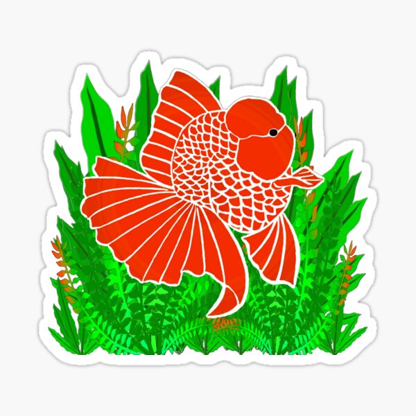 "Oranda Goldfish Logo 1124A" Sticker by Nosnah | Redbubble