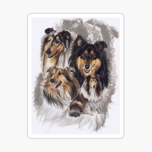 "Collie Revamp" Sticker for Sale by BarbBarcikKeith | Redbubble