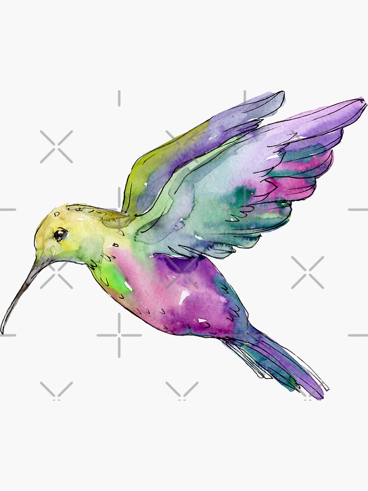 "watercolor hummingbird" Sticker for Sale by Hartics | Redbubble
