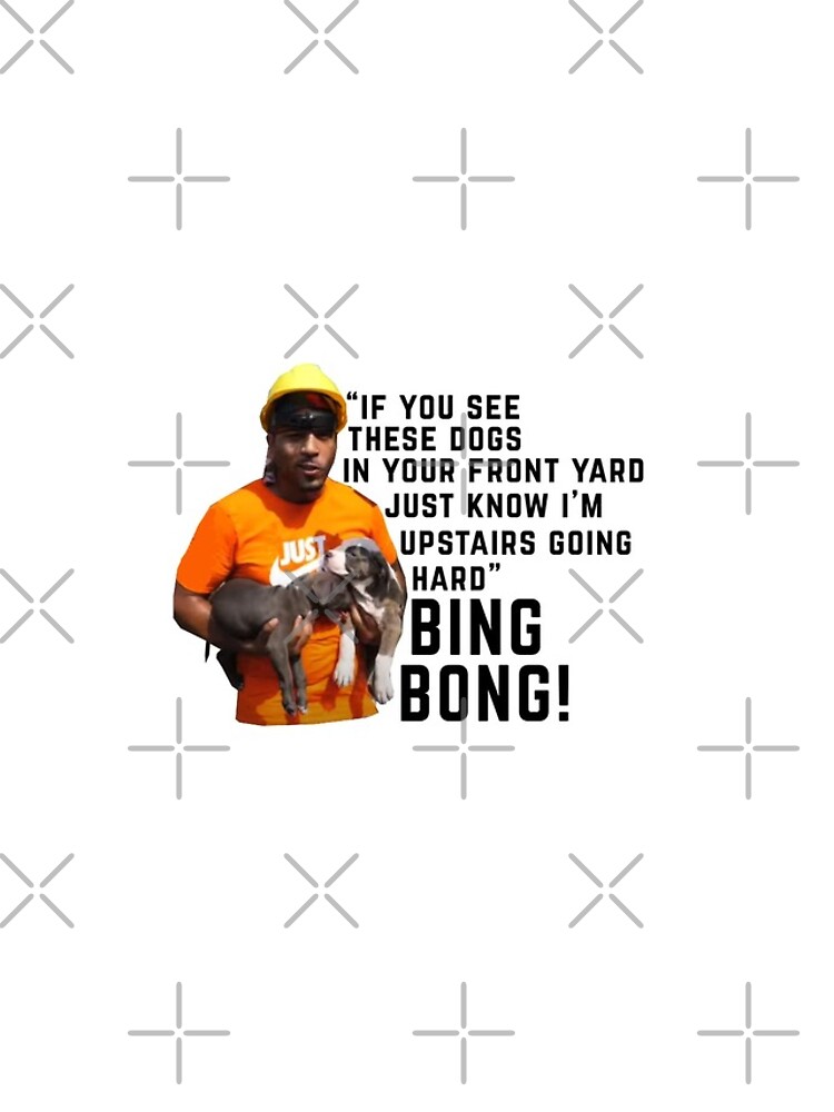 "BING BONG if you see these dogs in your front yard bing bong meme ...