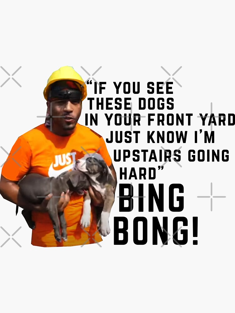 "BING BONG if you see these dogs in your front yard bing bong meme ...