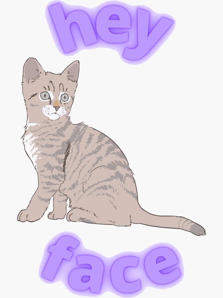 "hey p**** face ( funny design for shaved face men )" Sticker by ...