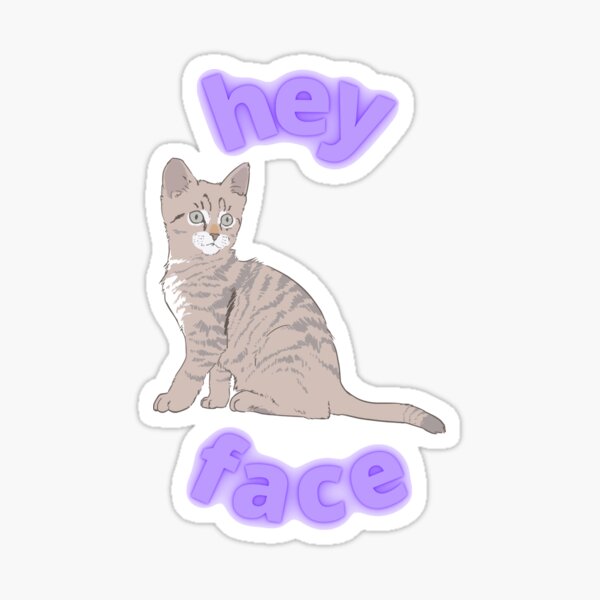 "hey p**** face ( funny design for shaved face men )" Sticker by ...