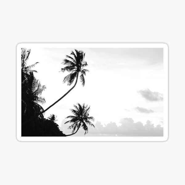 "Palm trees in black and white" Sticker by starv10 | Redbubble