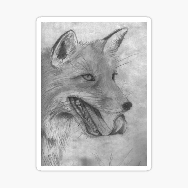 "Fox pencil drawing" Sticker for Sale by BWArtandDesign | Redbubble