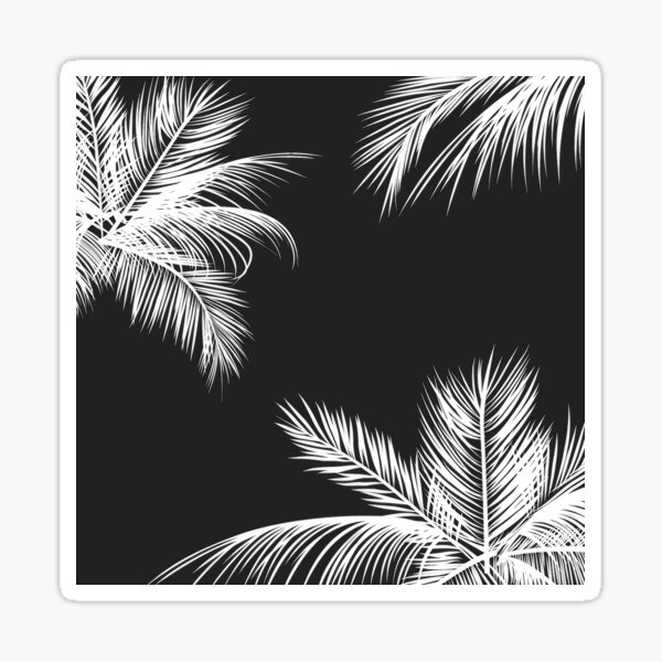 "Black and White Fern" Sticker for Sale by Cosix | Redbubble