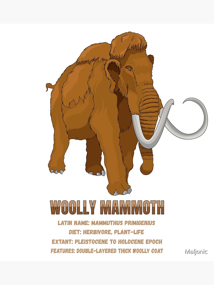 "Woolly Mammoth Animal Lovers Infographic Facts Gift" Poster for Sale ...