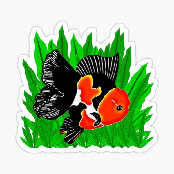 "Oranda Goldfish Logo 1107B" Sticker for Sale by Nosnah | Redbubble