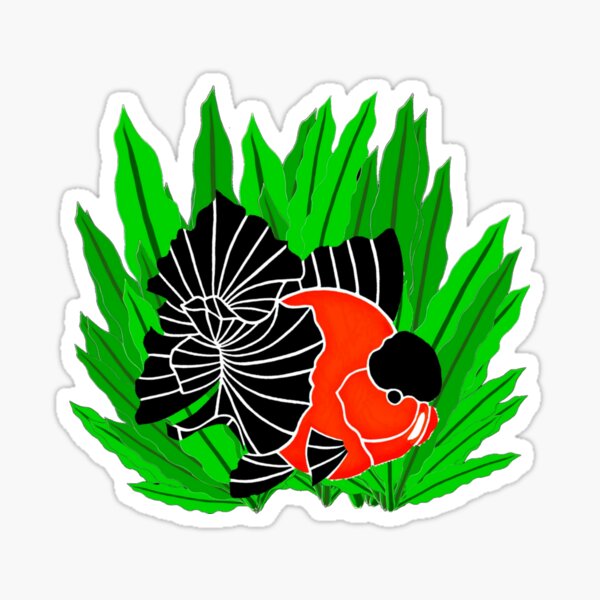 "Oranda Goldfish Logo 1104" Sticker by Nosnah | Redbubble