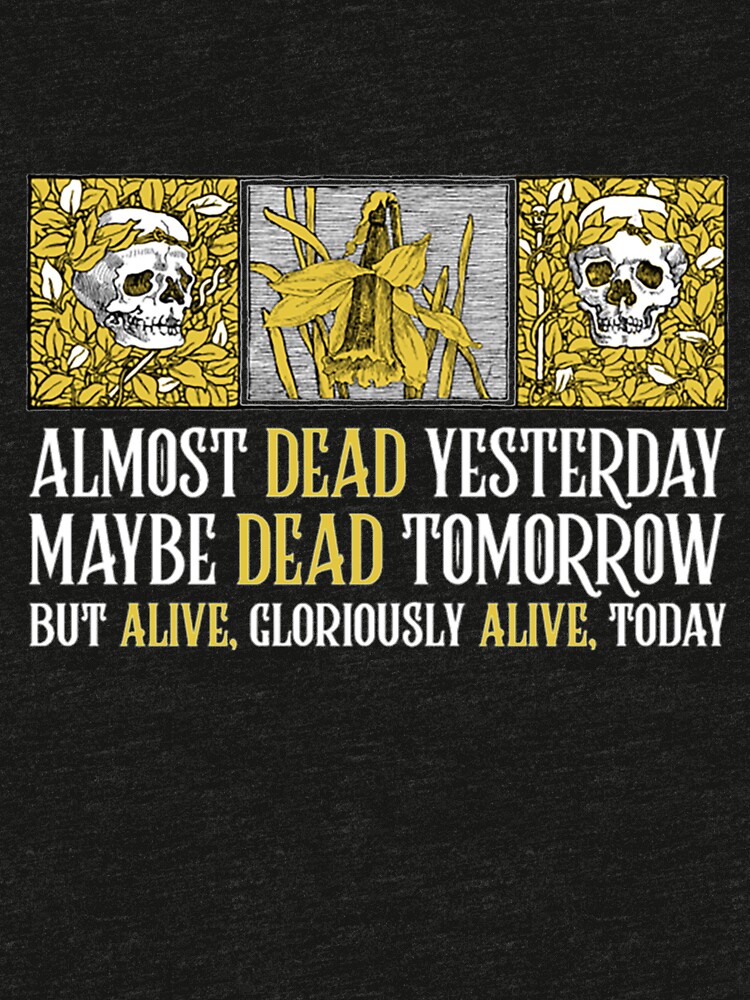 "Wheel of Time Quote - Robert Jordan Quote - Mat Cauthon - Almost Dead ...