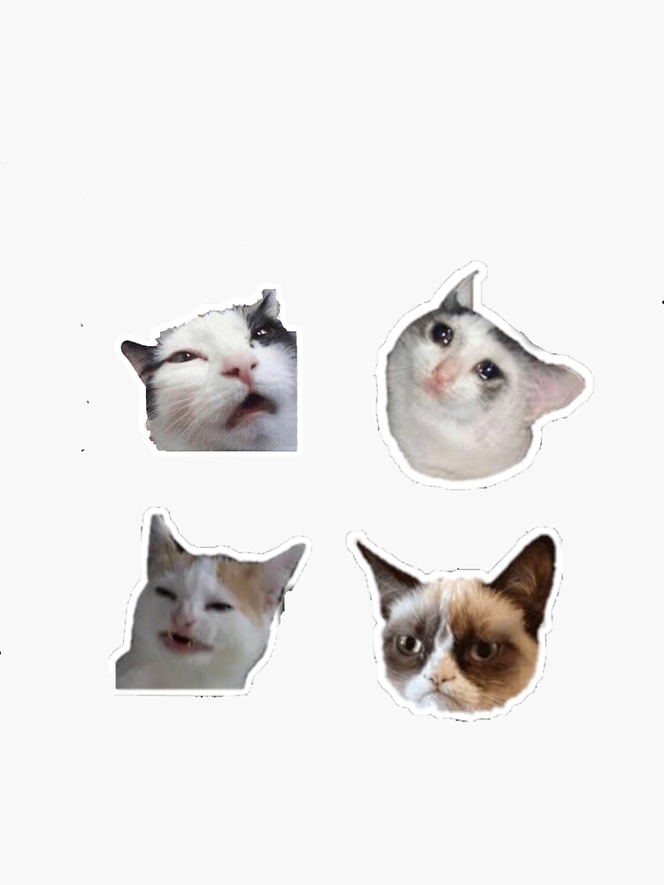 "Meme cats stikers pack" Sticker by Dexter-Designer | Redbubble