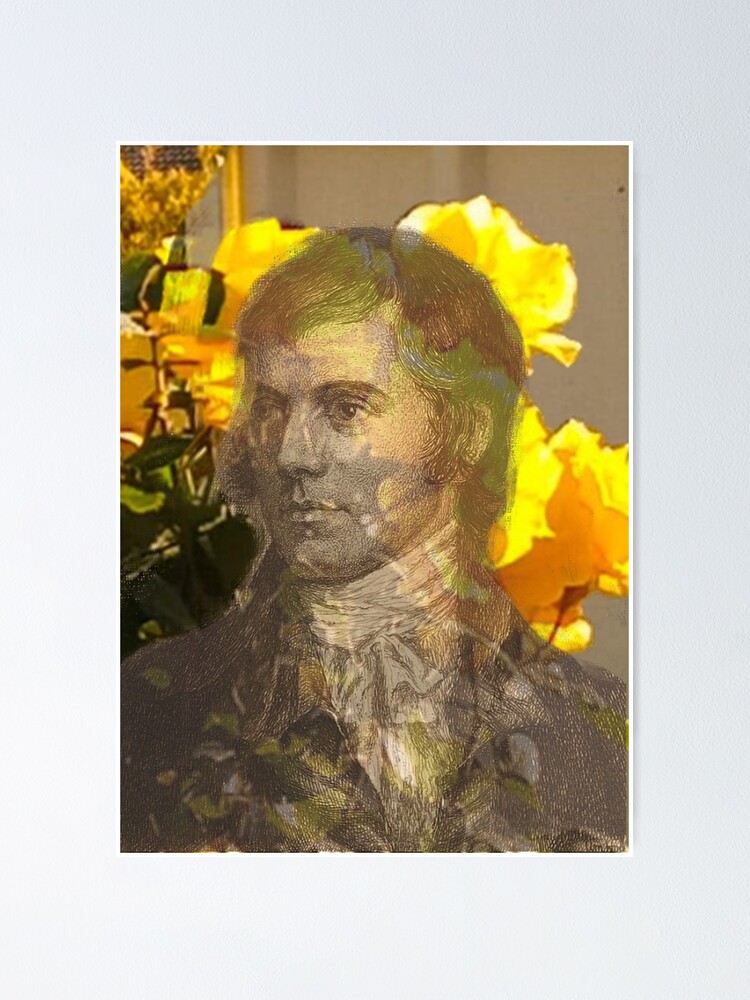 "Robert Burn" Poster for Sale by mindprintz | Redbubble