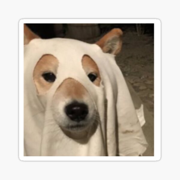 "Ghost dog meme" Sticker by RunaARTS4 | Redbubble