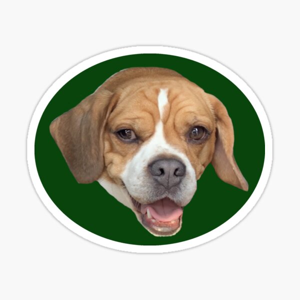 "Odie" Sticker by henry1050 | Redbubble