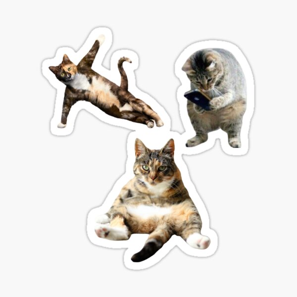 "Meme Cats Pack" Sticker by omedo | Redbubble