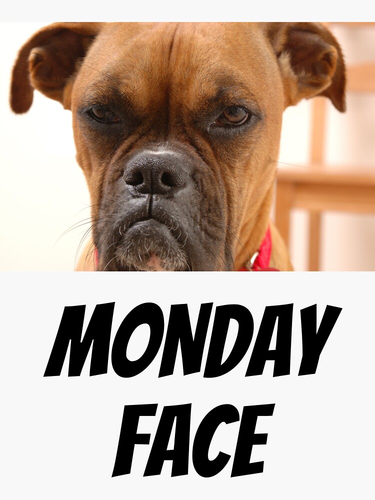 "Just Another Manic Monday" Sticker by TNinjaShirts | Redbubble