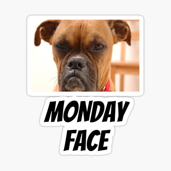 "Just Another Manic Monday" Sticker by TNinjaShirts | Redbubble