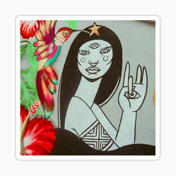 "Street Art, Wall Art, Mural,Graffiti, Women, Minds Eye, Hummingbird ...