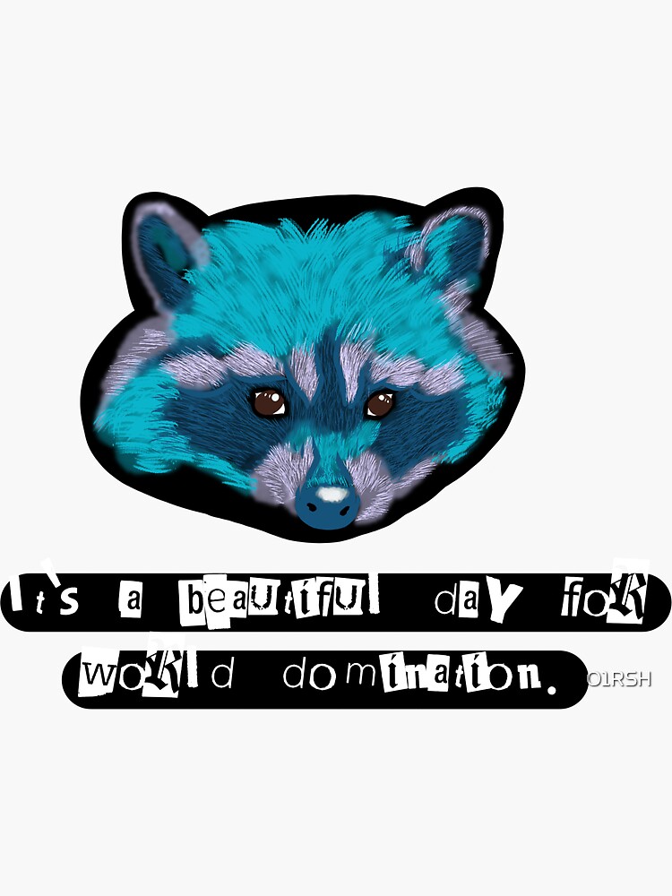 "World Domination Raccoon " Sticker for Sale by O1RSH | Redbubble