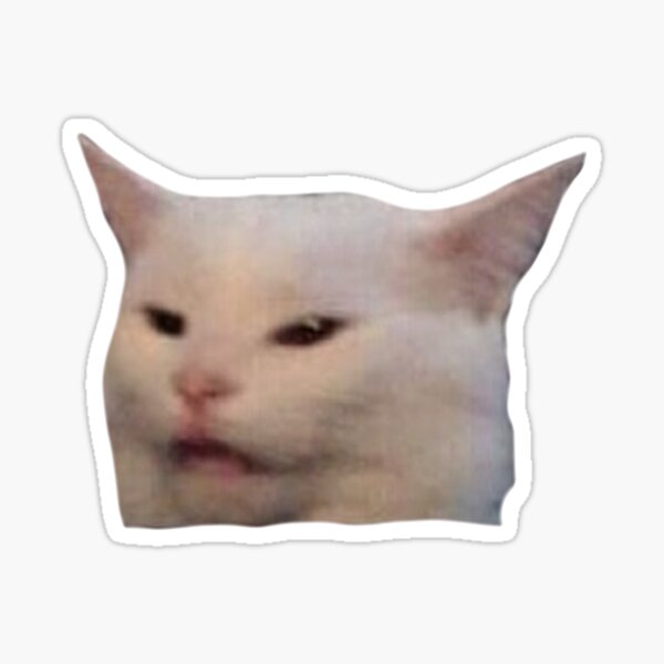 "Smudge the cat meme face Sticker" Sticker for Sale by sarahkobuaritsc ...
