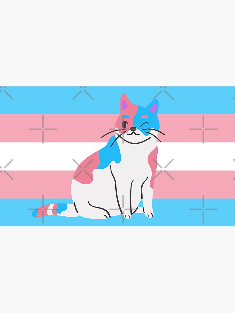 "Trans pride cat!" Sticker by abro-awareness | Redbubble