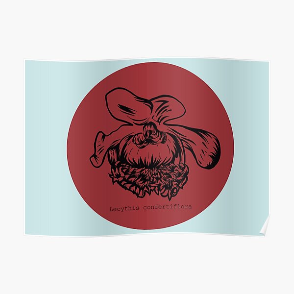 "Lecythis confertiflora color #4 Black line" Poster by DameCuriosity ...