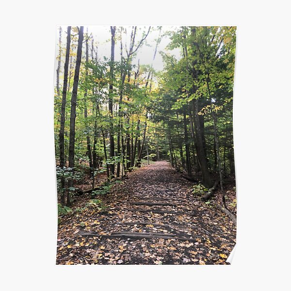 "The Path" Poster for Sale by Artistic-E | Redbubble