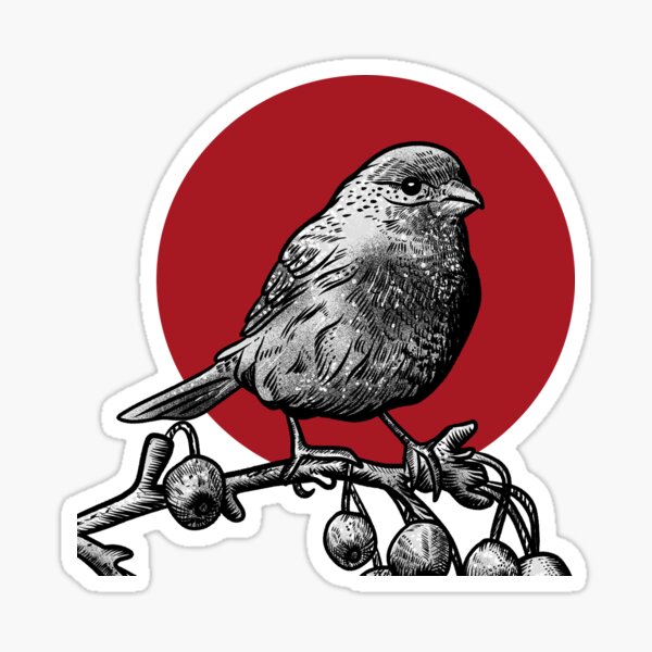 "house finch bird" Sticker by Fatintania | Redbubble