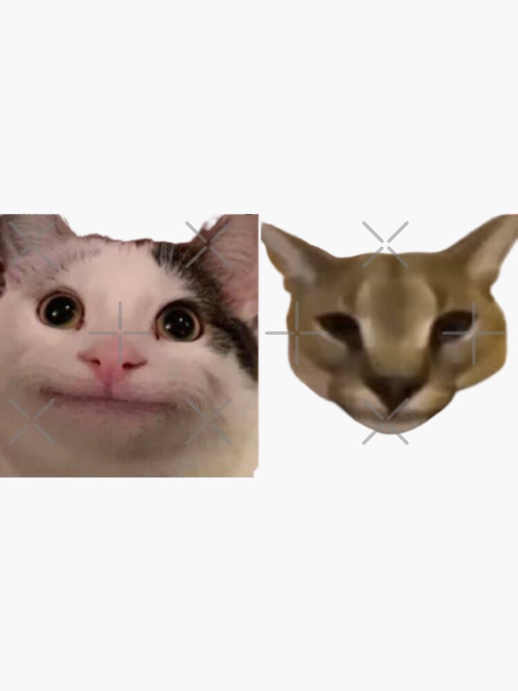 "Beluga-Katze und Hecker-Katze" Sticker von mo91 | Redbubble