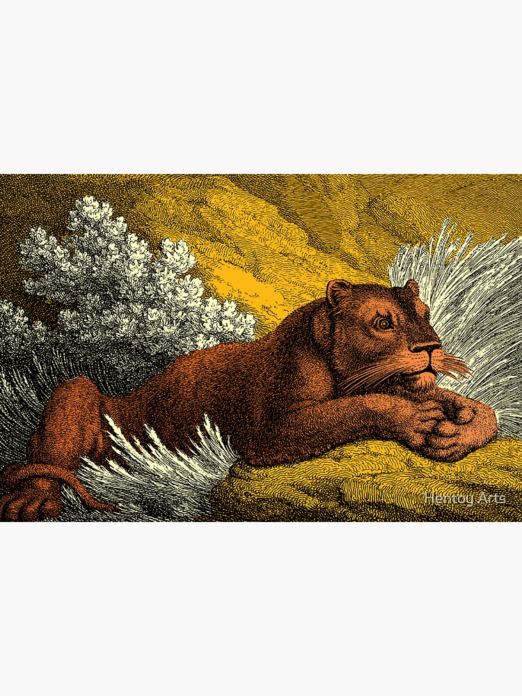 "wildcat anime artwork" Sticker for Sale by hentoy90 | Redbubble