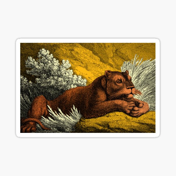 "wildcat anime artwork" Sticker for Sale by hentoy90 | Redbubble