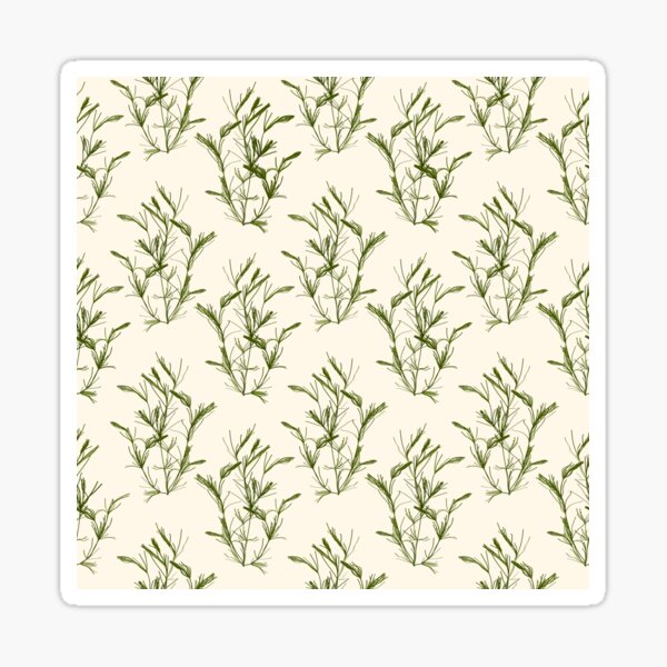 "Chara fragilis - a genus of charophyte green algae." Sticker for Sale ...