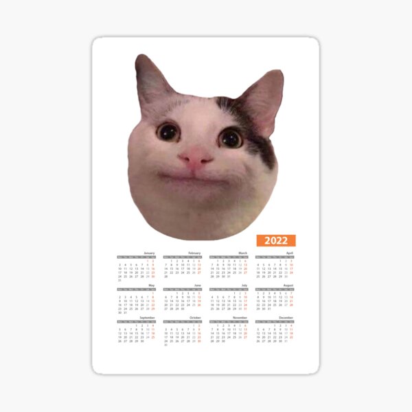 "Beluga Cat Calendar 2022" Sticker for Sale by mo91 | Redbubble