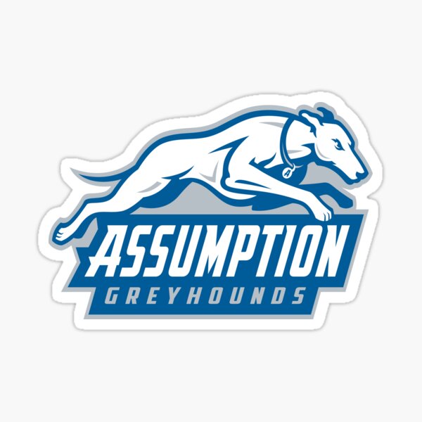 Assumption Merch & Gifts for Sale | Redbubble