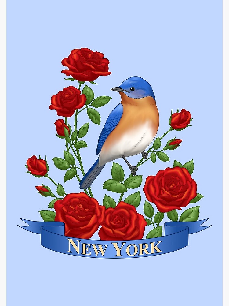 "New York State Bird & Flower Bluebird & Roses" Spiral Notebook for ...