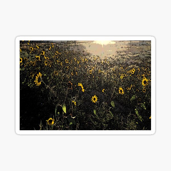 "YELLOW DAISIES!" Sticker for Sale by kimritter | Redbubble