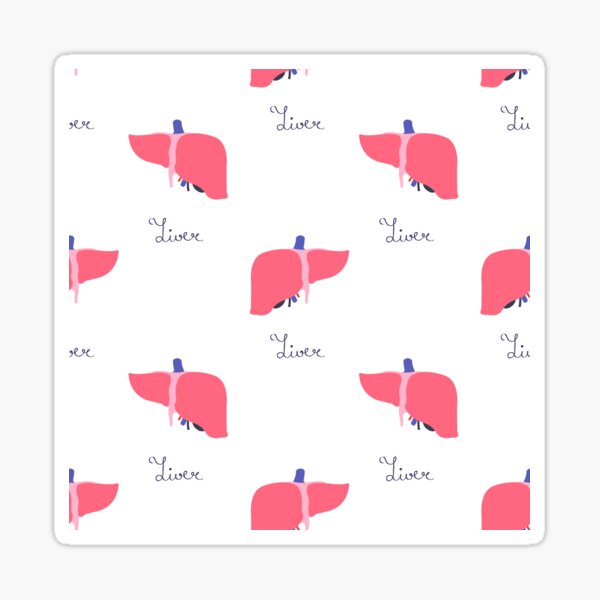 "human liver pattern" Sticker for Sale by zizimentos | Redbubble