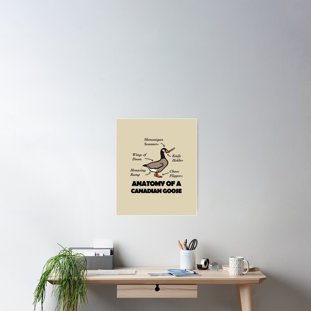 "Anatomy Of A Canadian Goose" Poster for Sale by TheUnknown93 | Redbubble