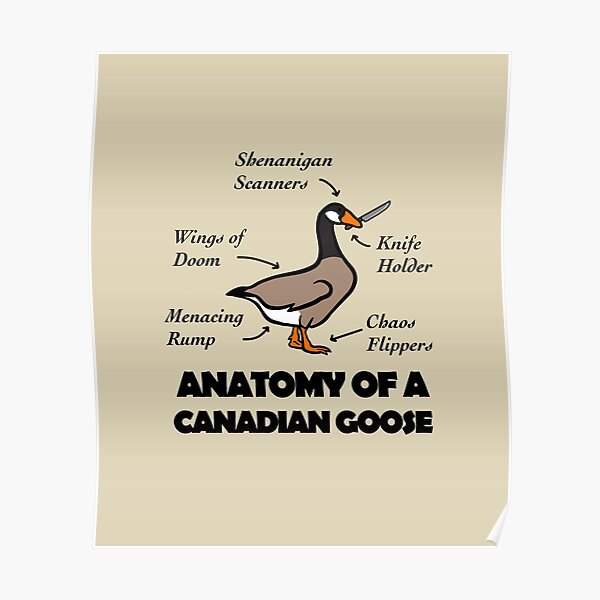 "Anatomy Of A Canadian Goose" Poster for Sale by TheUnknown93 | Redbubble
