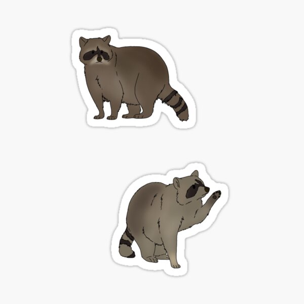 "Raccoons " Sticker for Sale by Blaudoge | Redbubble