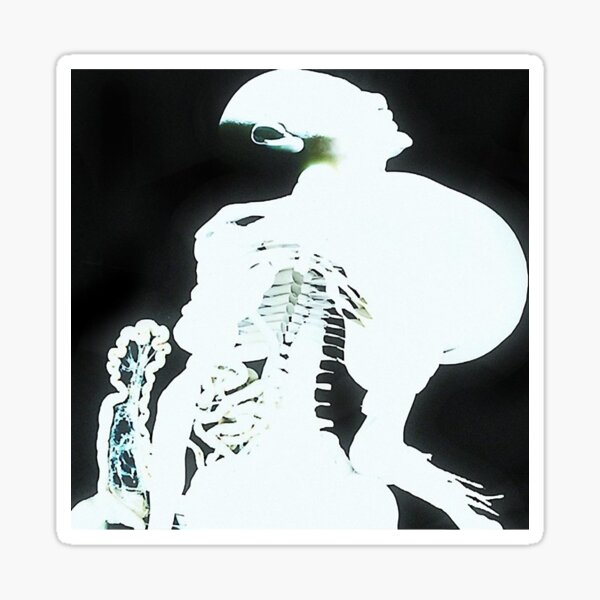 "Arca Entrañas Classic" Sticker for Sale by SarahVierra | Redbubble