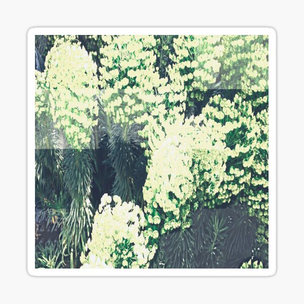 "Nature clutter " Sticker for Sale by Yourshinyshark | Redbubble