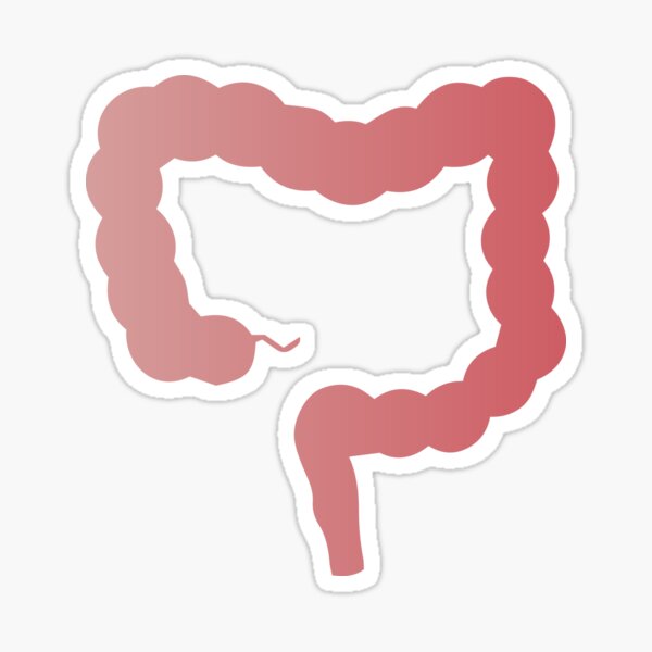 "Digestive System Gastrointestinal Tract Pink Art Gifts" Sticker by ...