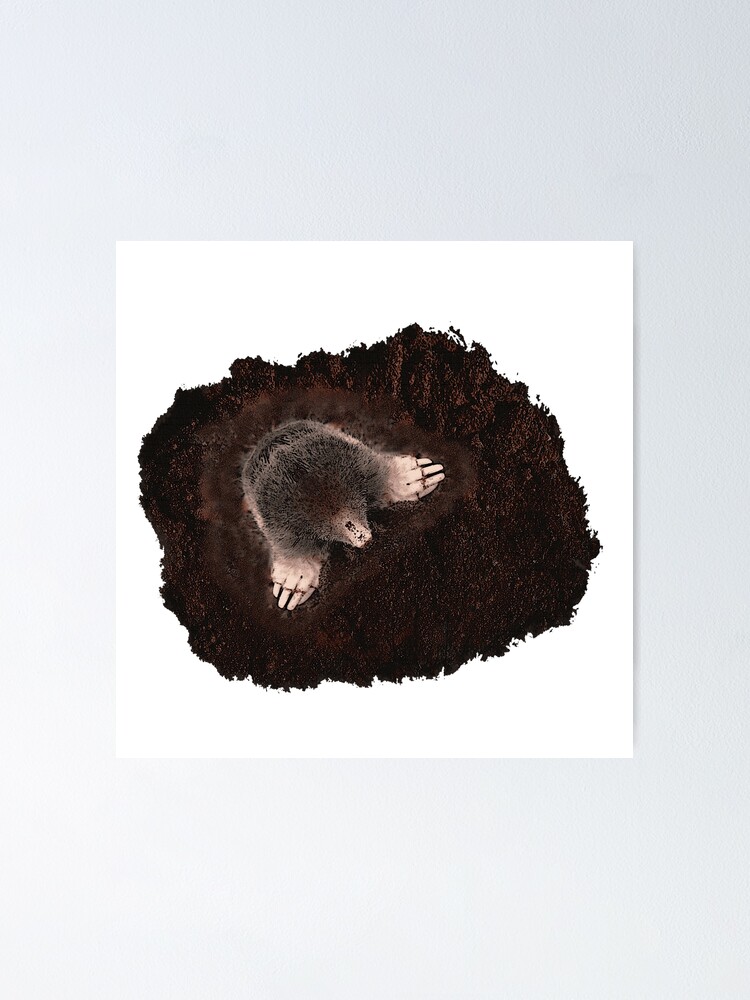 "Mole head, animal print man, cute moles, animal print baby" Poster by ...