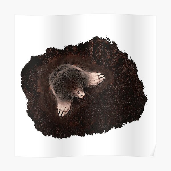 "Mole head, animal print man, cute moles, animal print baby" Poster by ...