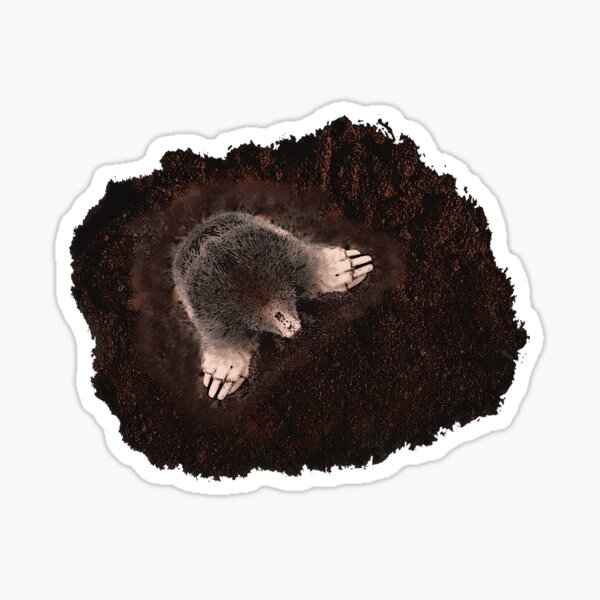 "Mole head, animal print man, cute moles, animal print baby" Sticker by ...