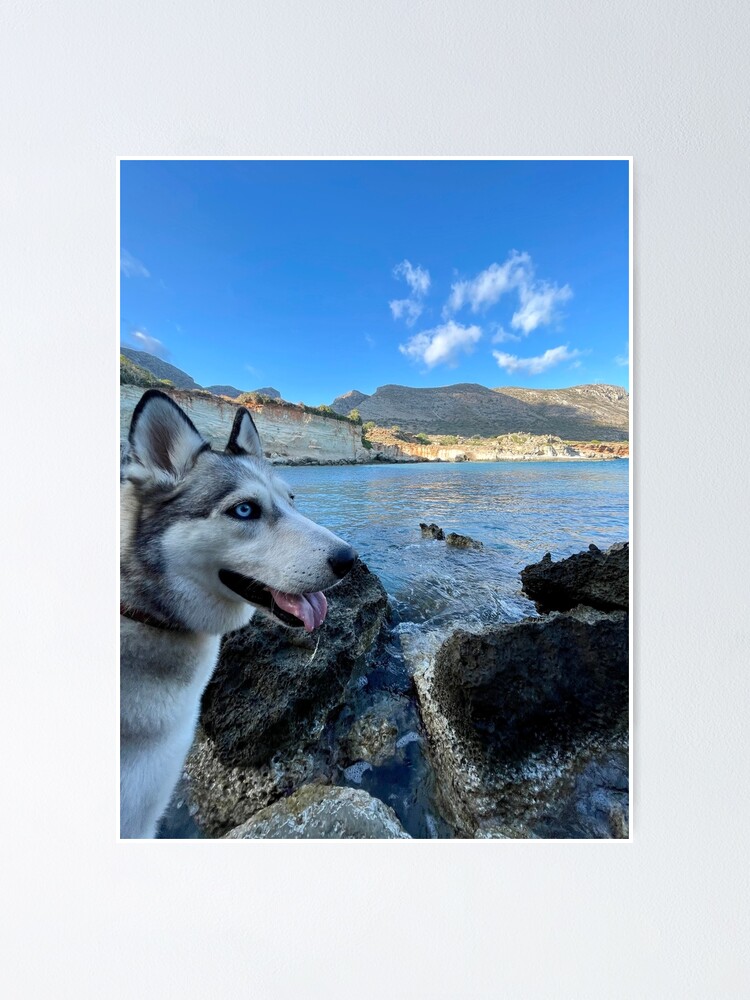 "Husky in Greece Geopark " Poster for Sale by CaptainNook | Redbubble