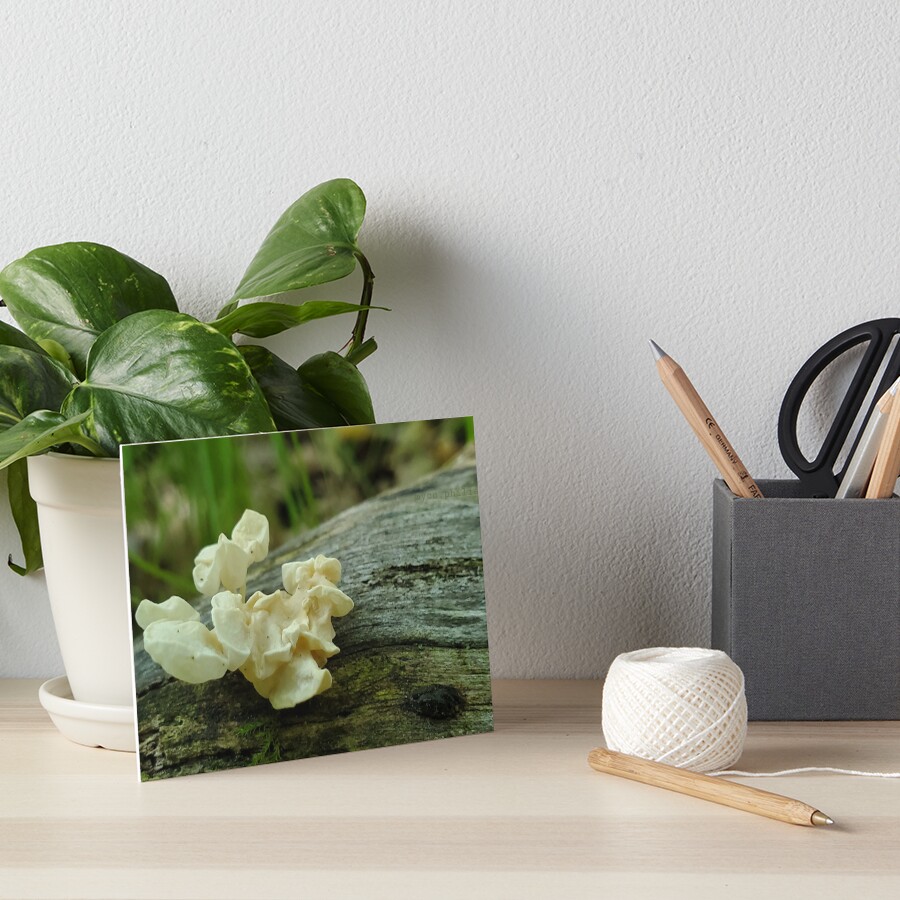 "Physalacria inflata" Art Board Print by mycophilia | Redbubble